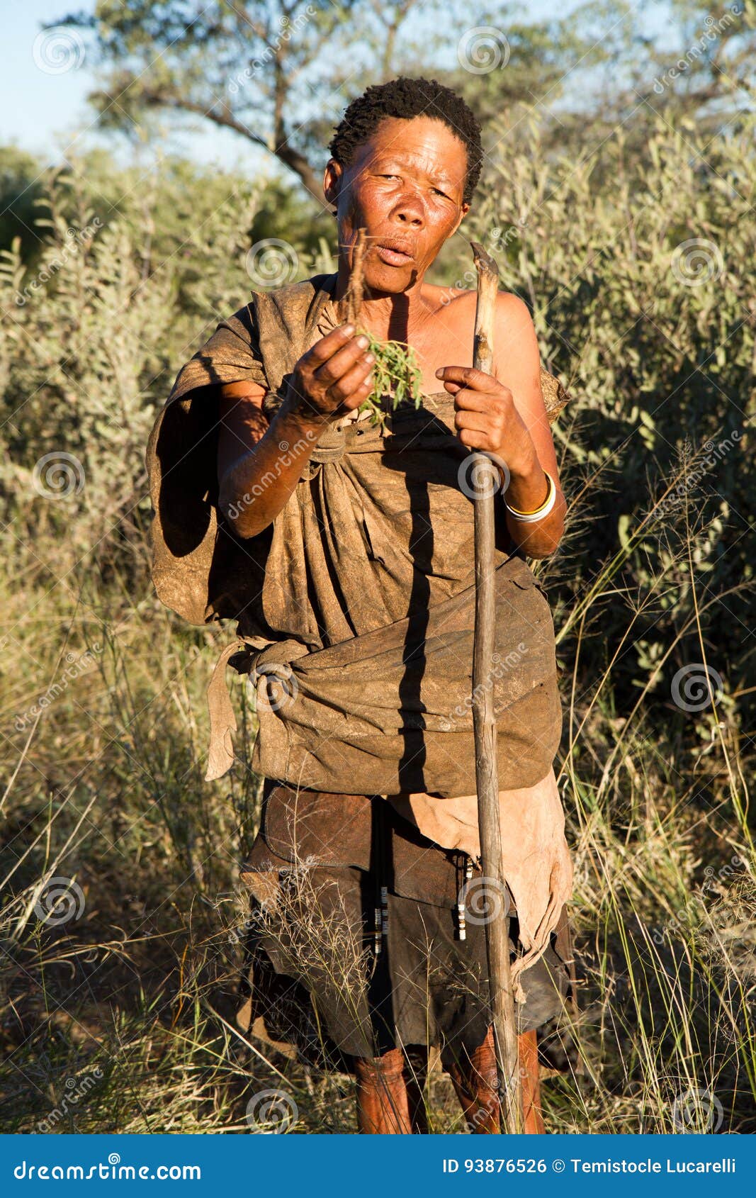 Botswana bushmen editorial photo. Image of hunt, ancestor - 93876526