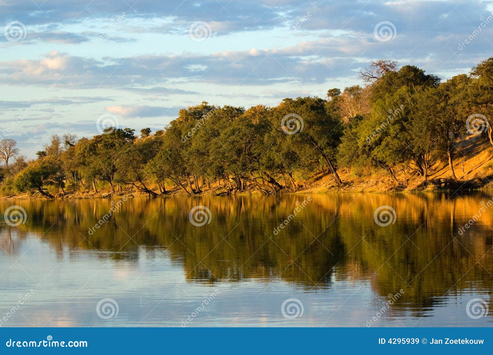 Botswana river stock image. Image of botswana, yellow - 4295939