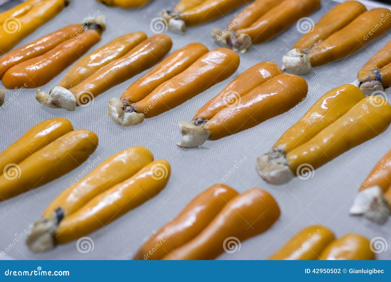 Bottarga stock photo. Image of bottarga, mullet, drying - 42950502