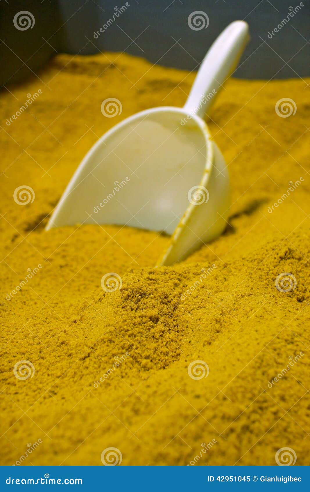 Bottarga stock image. Image of drying, mullet, food, italy - 42951045