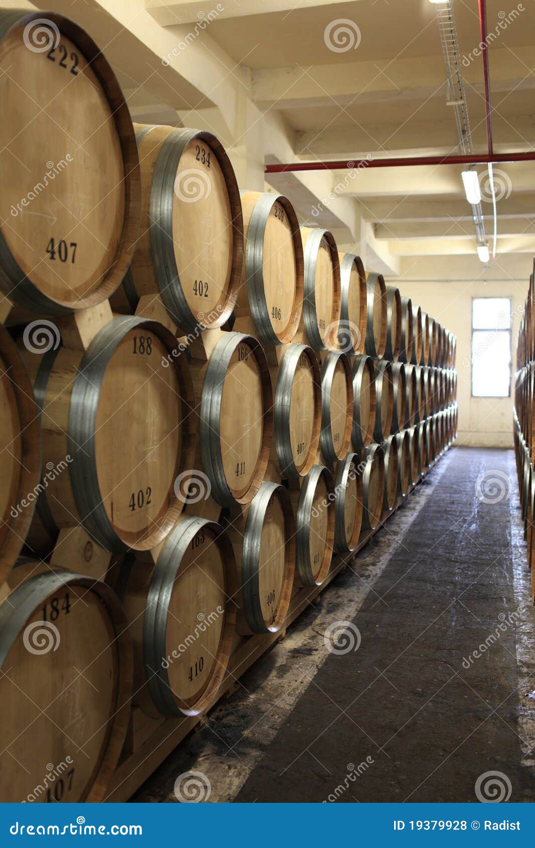 Botti in cantina fotografia stock. Immagine di coltura - 19379928