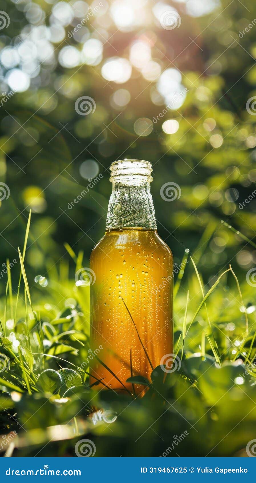 Bottle of Apple Cider in Grass Stock Image - Image of healthy, green ...