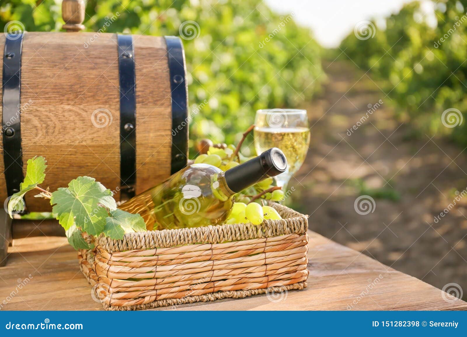 Bottle and Barrel of White Wine with Ripe Grapes on Table in Vineyard ...