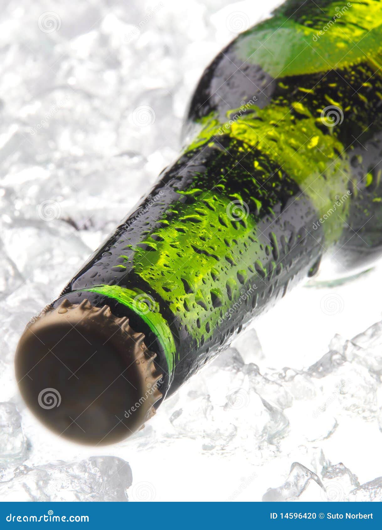 Bottle of beer on ice stock photo. Image of cold, close - 14596420