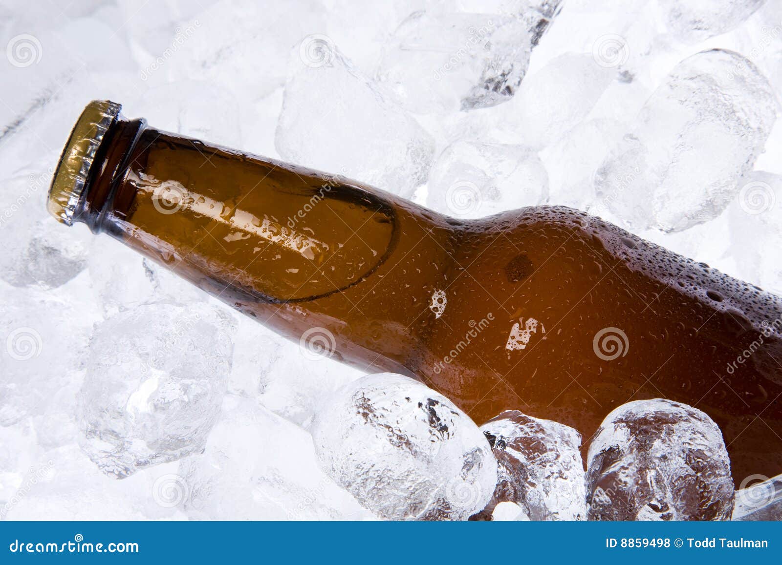 Bottle of Beer on Ice stock photo. Image of beverage, cold - 8859498