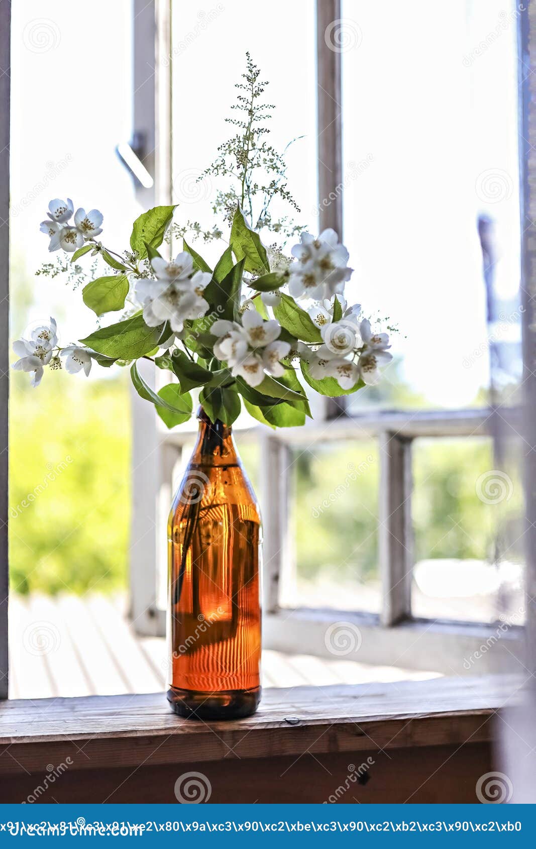A Bottle with Blooming Jasmine Branches by the Window in a Rustic House ...