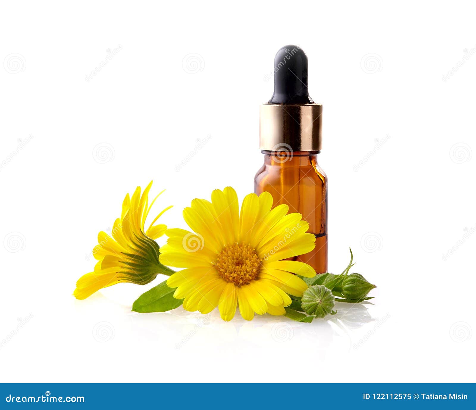 Calendula oil with flower stock image. Image of liquid - 122112575