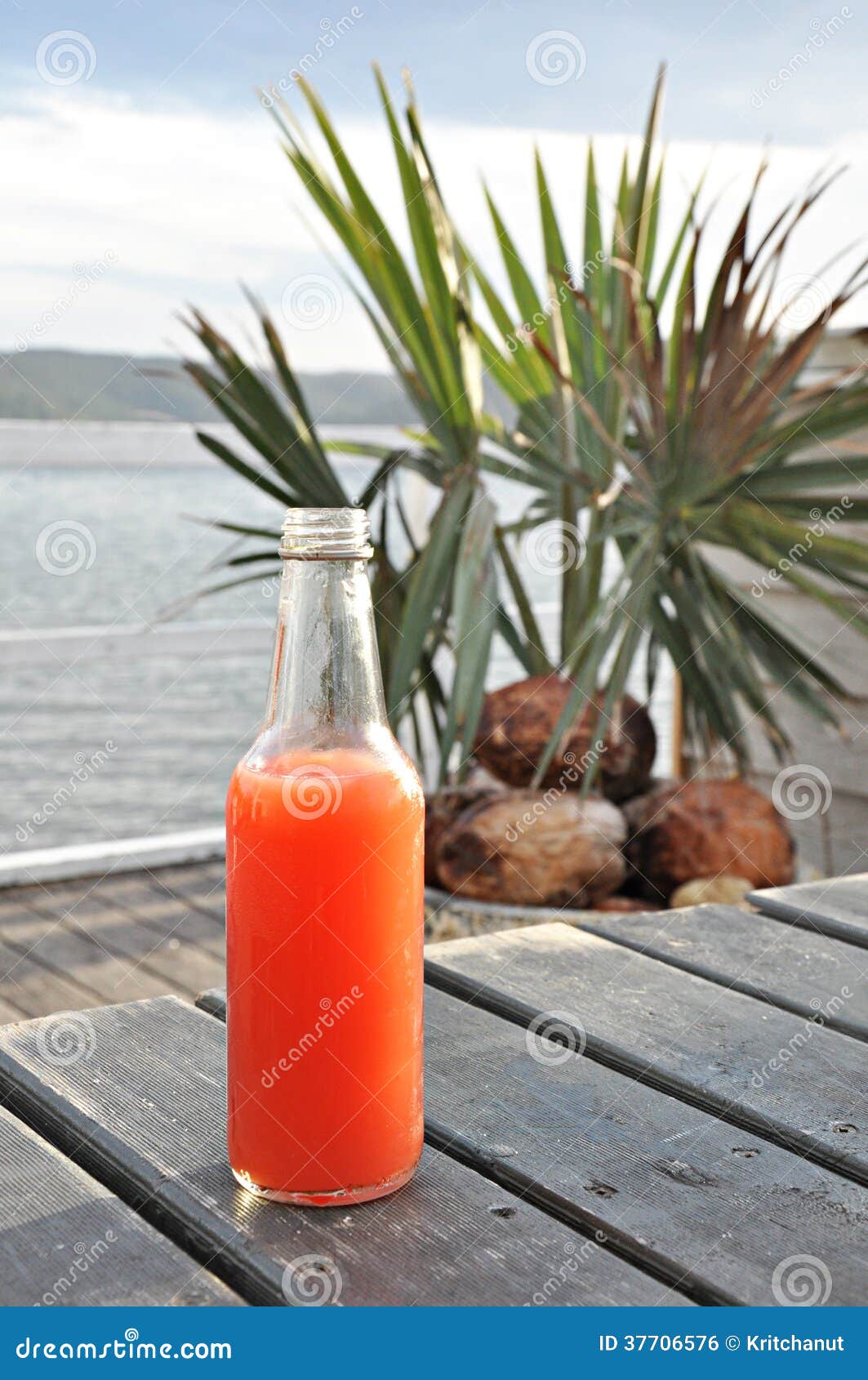 A Bottle of Cold Fruit Punch on the Table Nearby the Lake Stock Photo ...