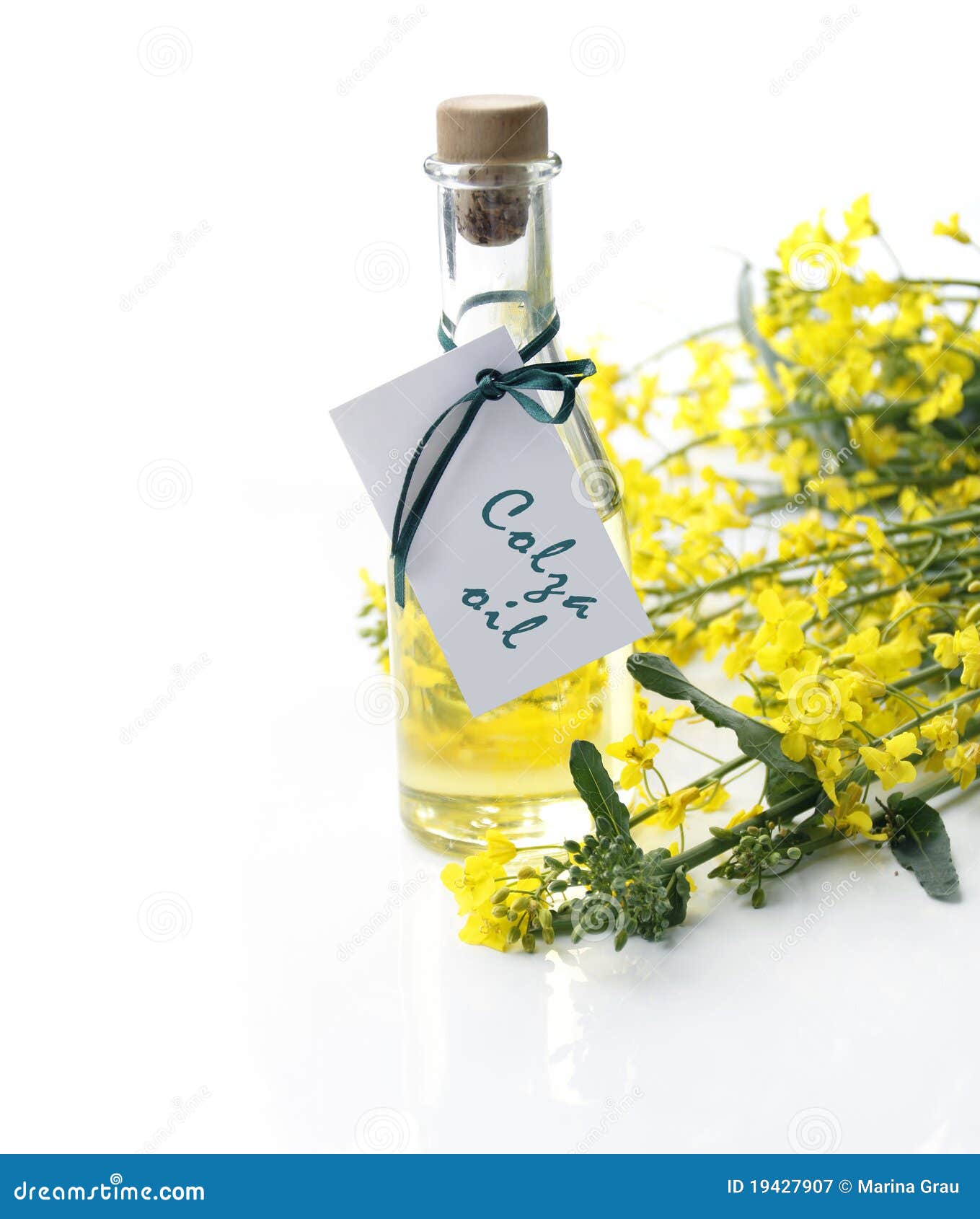 Bottle of colza oil stock image. Image of rapeseed, kanne - 19427907