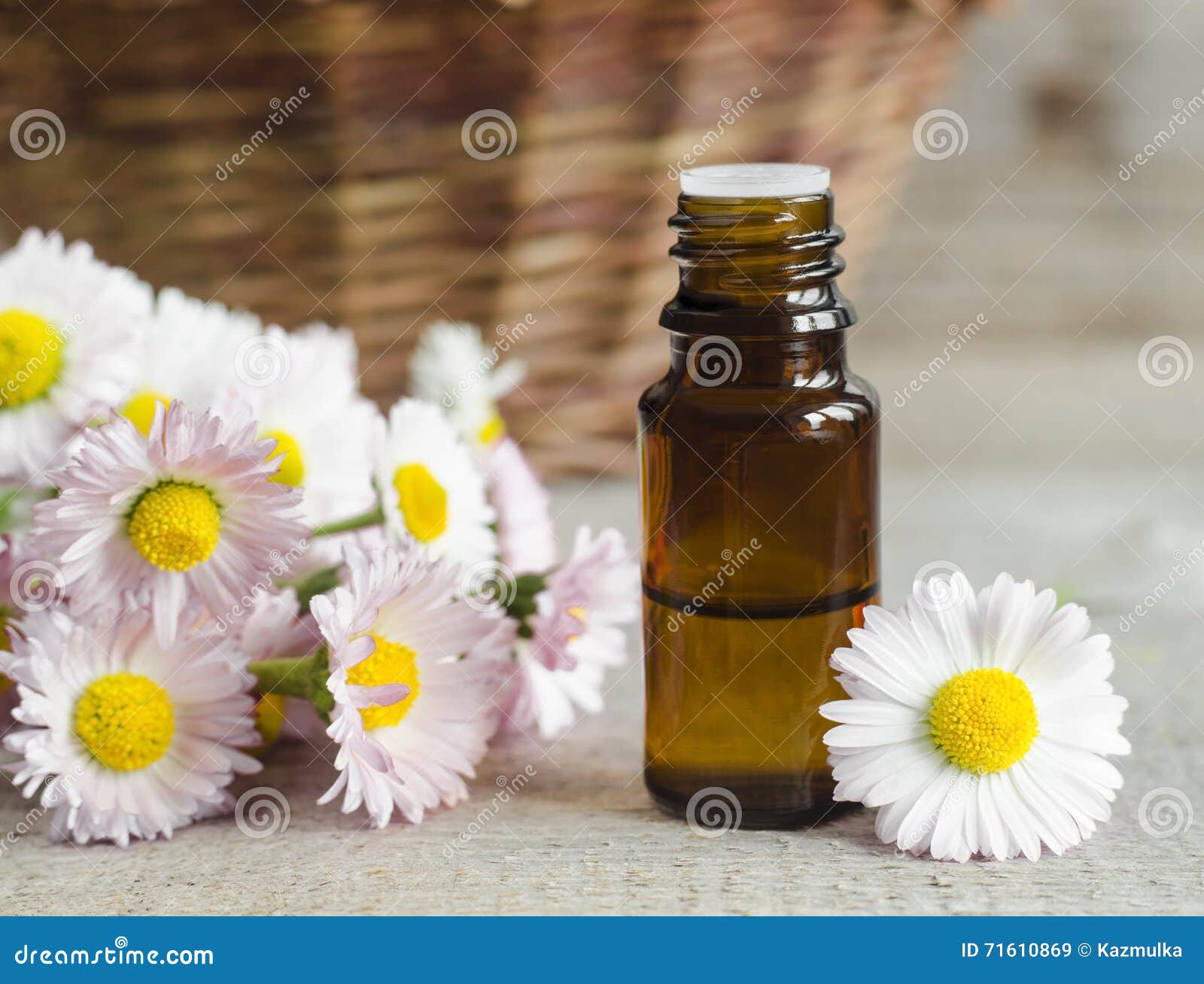 Bottle of Daisy Flowers Tincture Stock Image - Image of herb, healthy ...