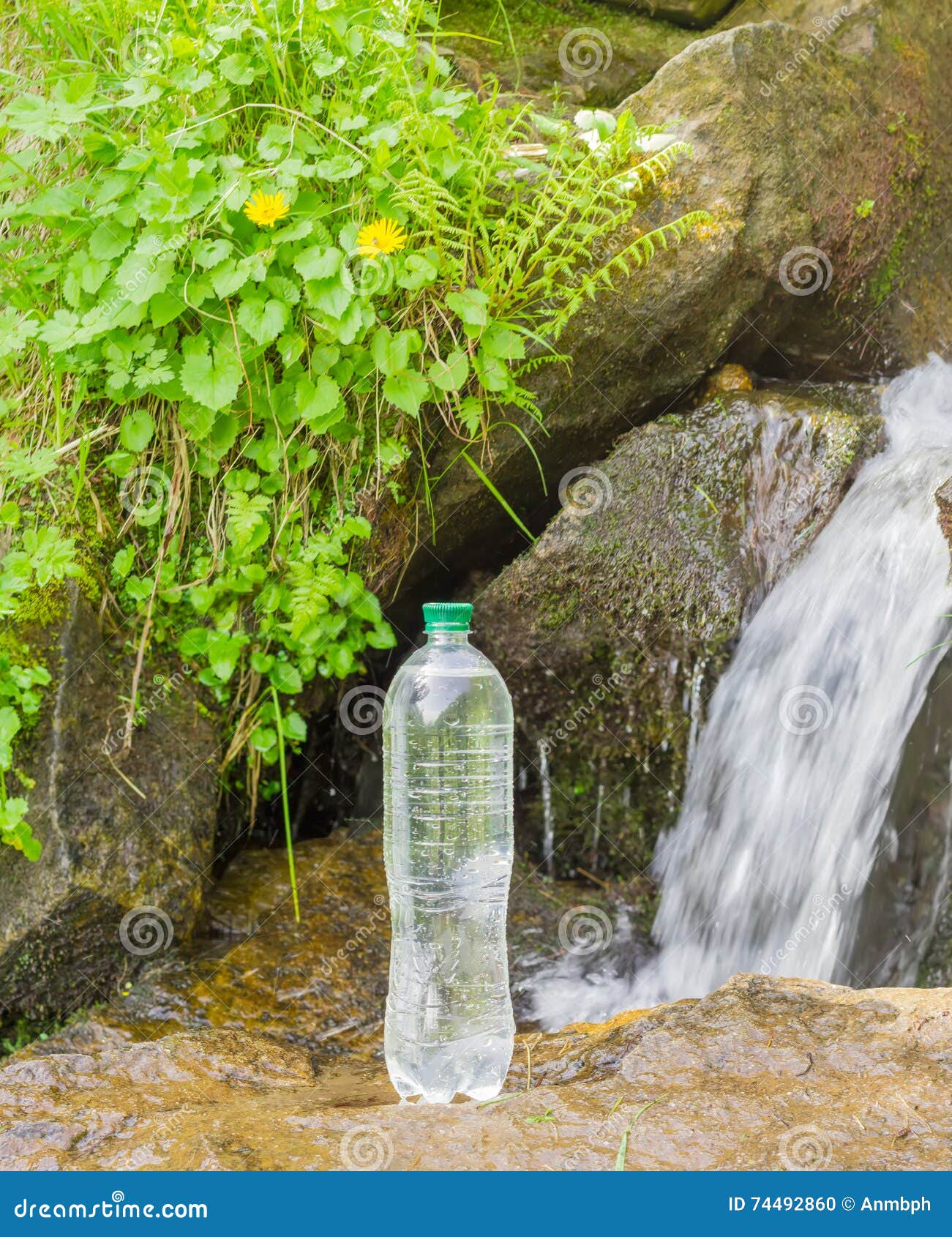 Bottle of Drinking Water on the Background of Mountain Stream Stock ...