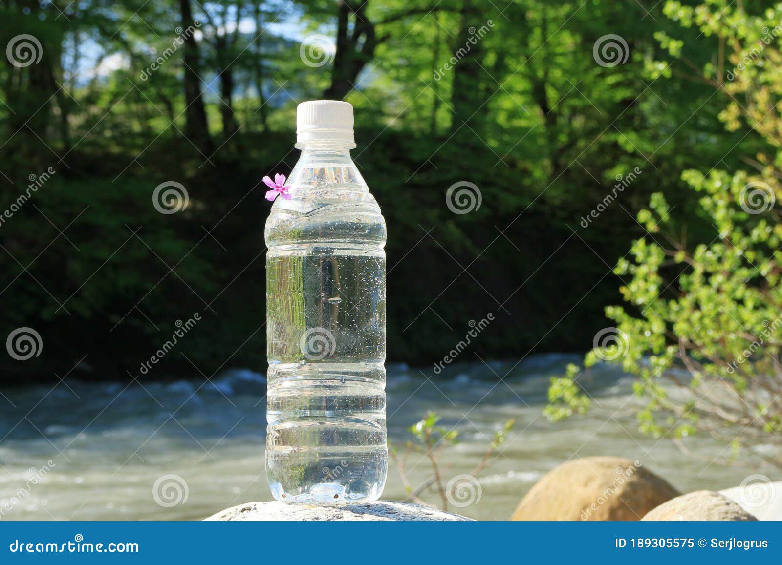 A Bottle of Drinking Water on a Clean Mountain Stream Stock Image ...