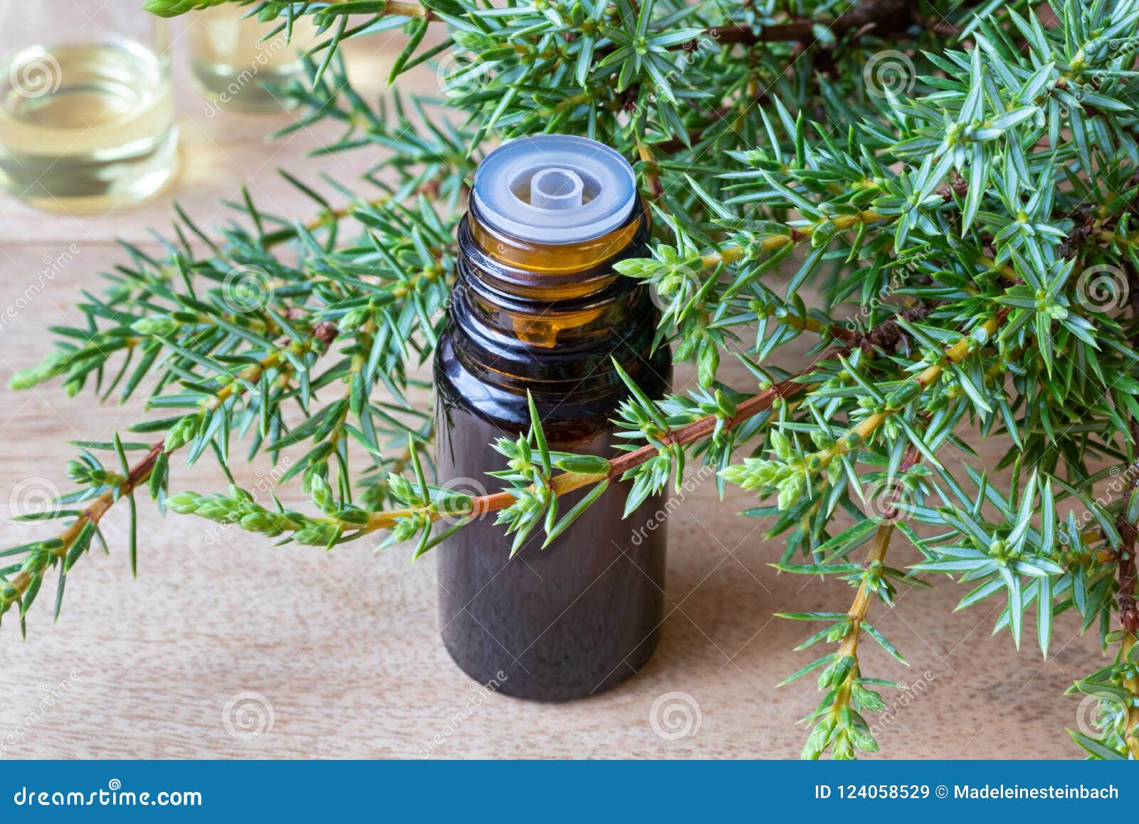 A Bottle of Juniper Essential Oil with Fresh Juniper Stock Image ...