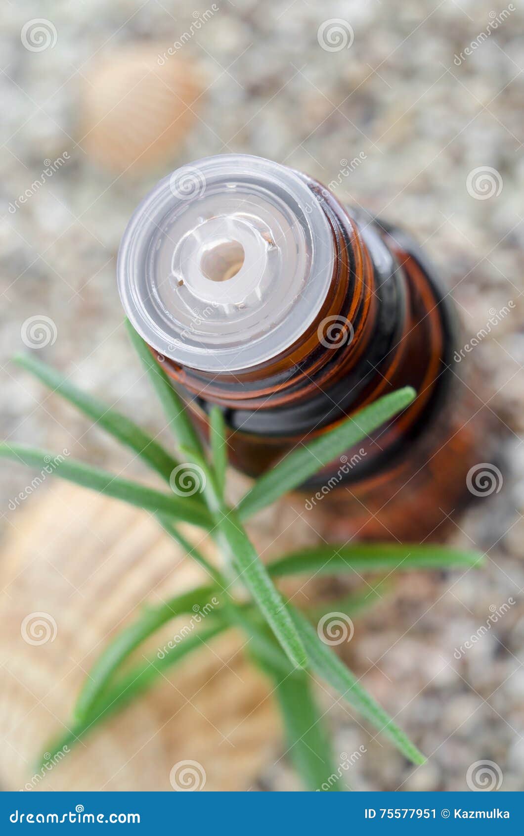 Bottle of Essential Rosemary Oil. Bottle Dropper Tip Insert Close Up ...