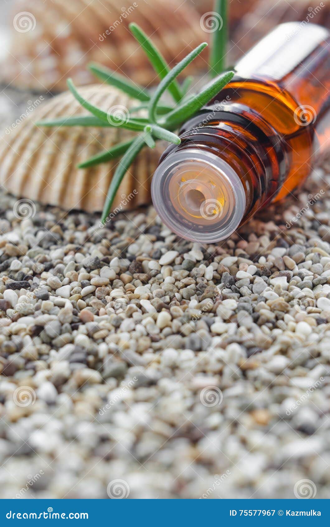 Bottle of Essential Rosemary Oil. Bottle Dropper Tip Insert Close Up ...