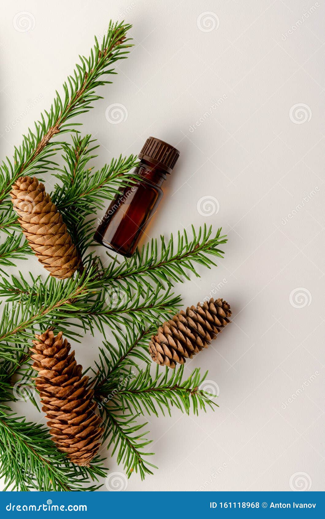 Bottle of Fir Tree Essential Oil on White with Pine Cone Stock Photo ...