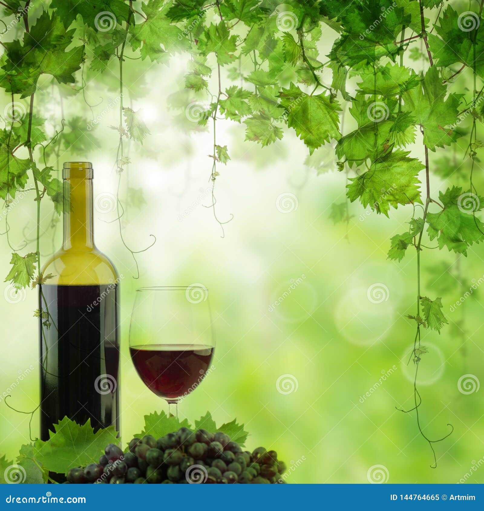 Bottle and Glass of Red Wine in Vineyard. Vineyard in Morning Light ...