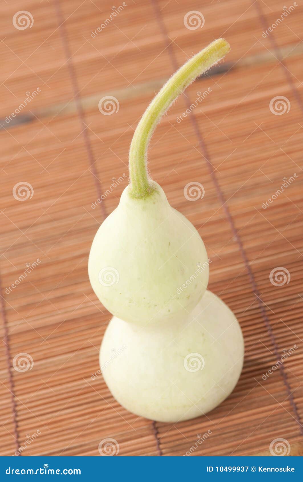 Bottle gourd stock image. Image of japan, gourd, plant - 10499937