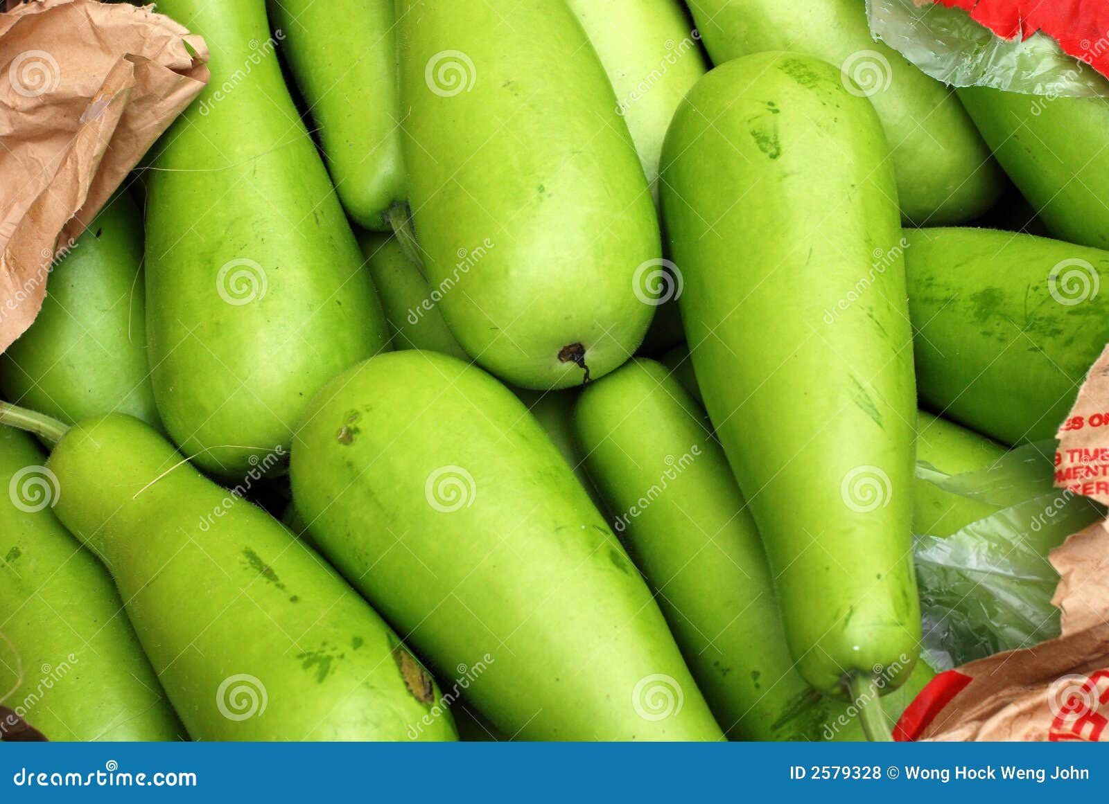 Bottle gourd stock photo. Image of gourd, healthy, crop - 2579328