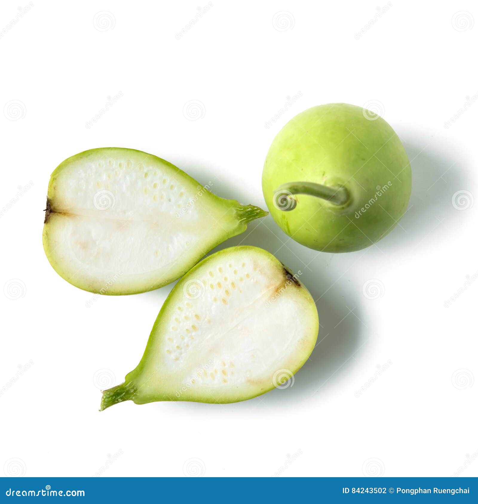 Bottle gourd or calabash stock photo. Image of summer - 84243502