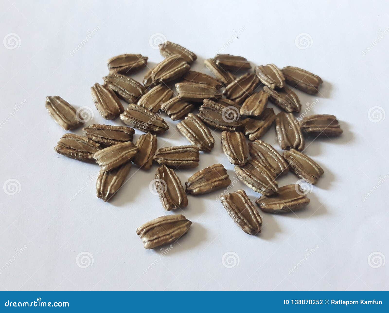 Bottle gourd seed stock photo. Image of seedling, gourd - 138878252