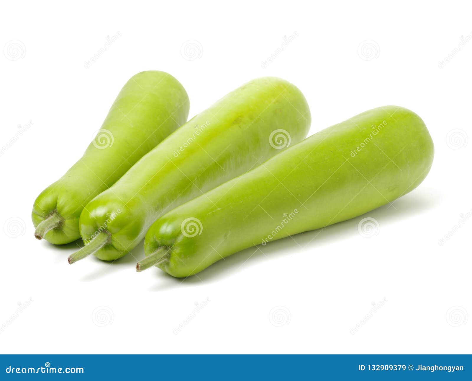 Bottle gourd vegetable stock image. Image of gourd, healthy - 132909379