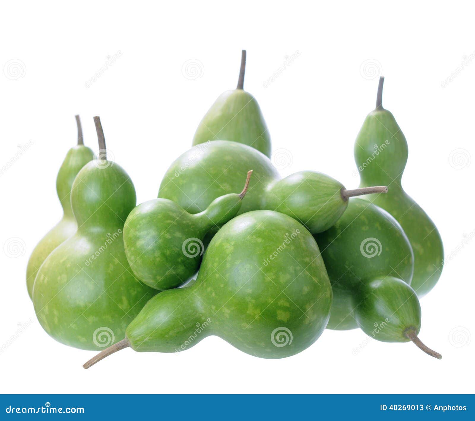 Bottle gourds stock image. Image of bottle, grocery, green - 40269013