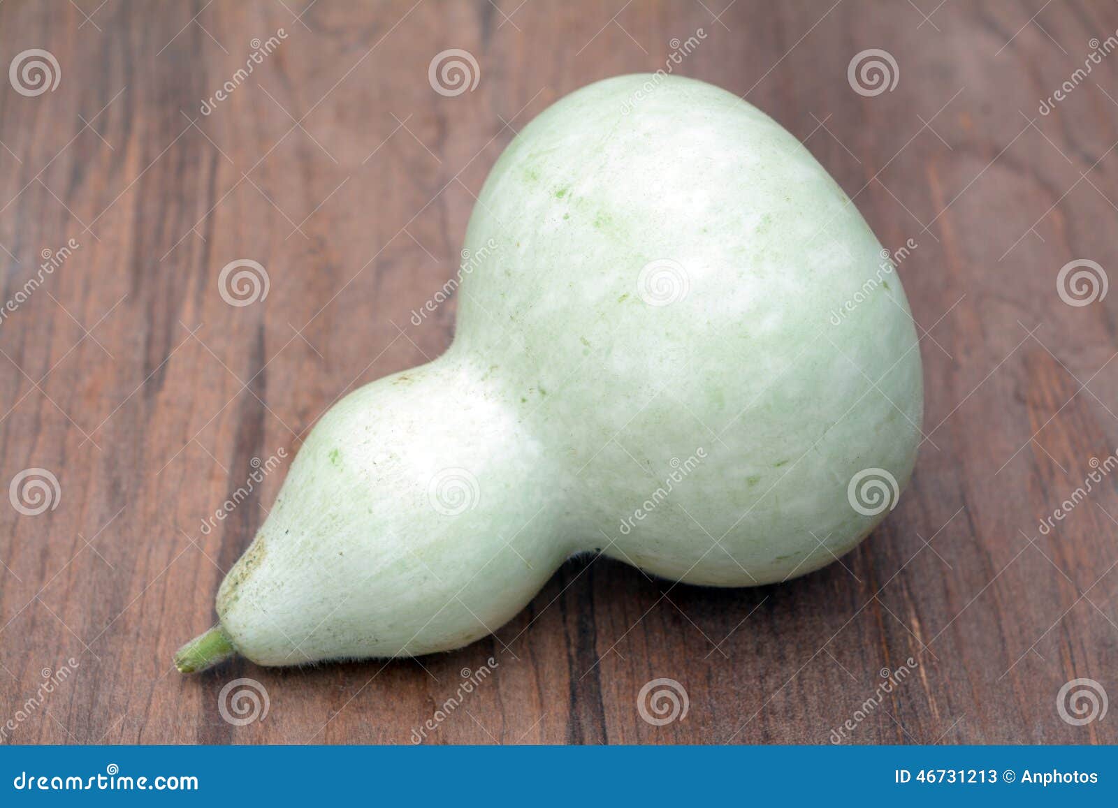 Bottle gourds stock image. Image of calabash, summer - 46731213