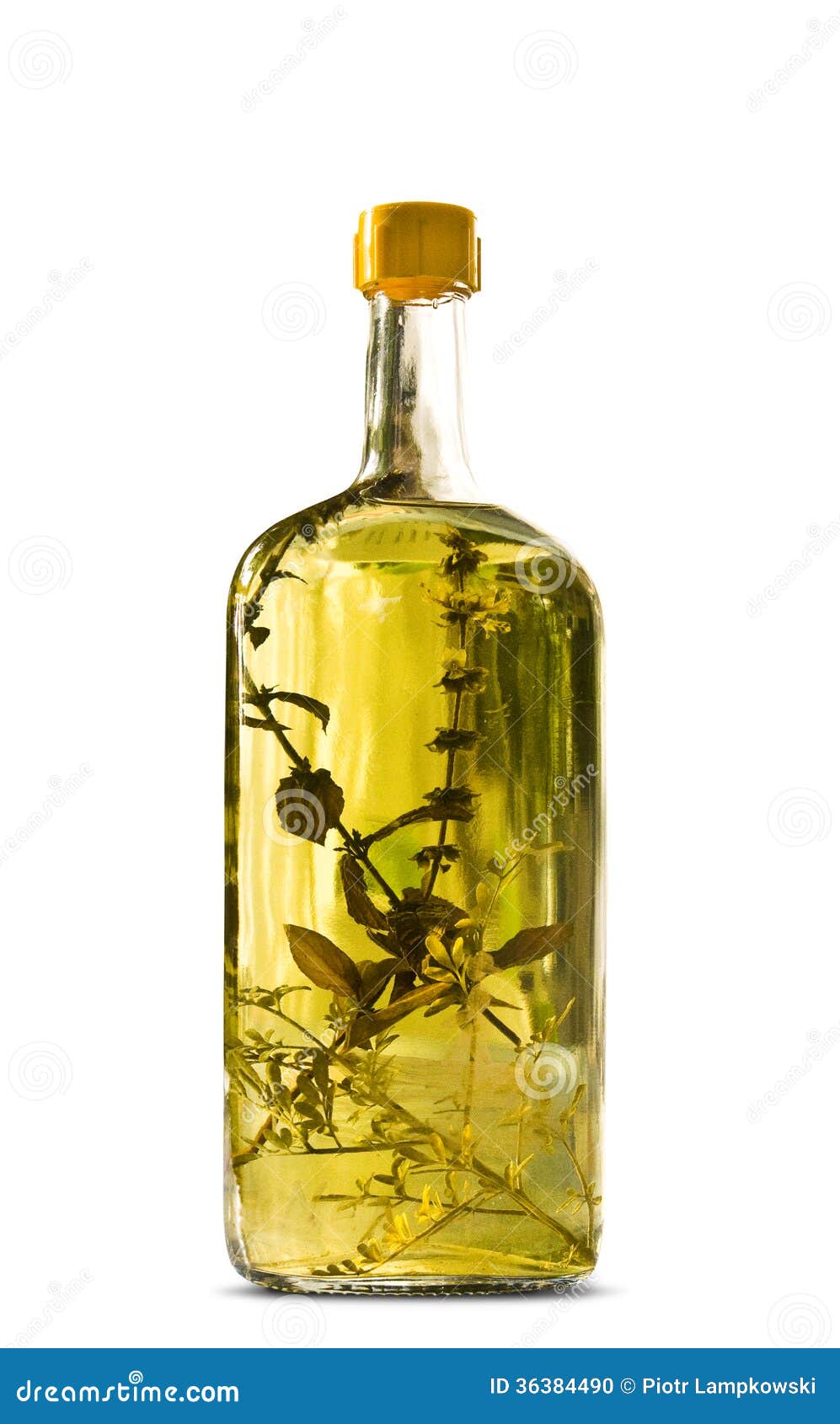 Bottle of herb rakia stock photo. Image of rakia, brandy - 36384490