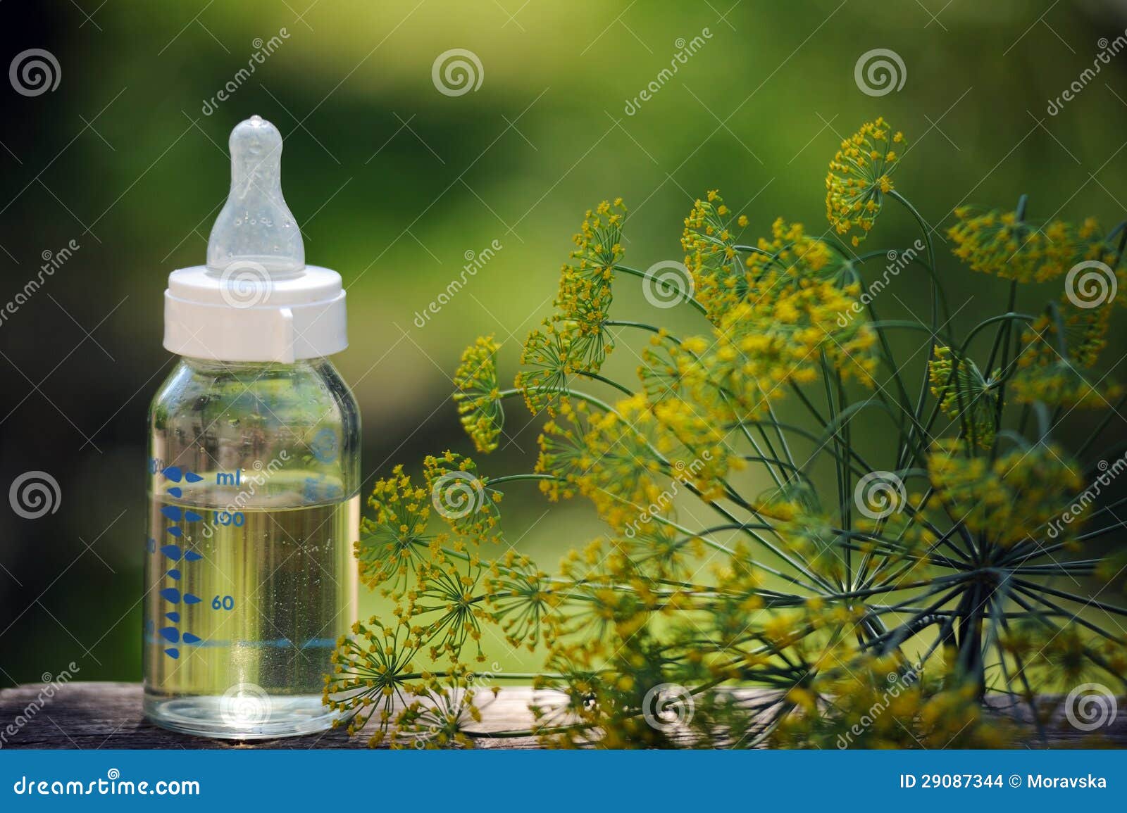 Bottle of Herbal Dill Tea for Baby Stock Photo - Image of petals, green ...
