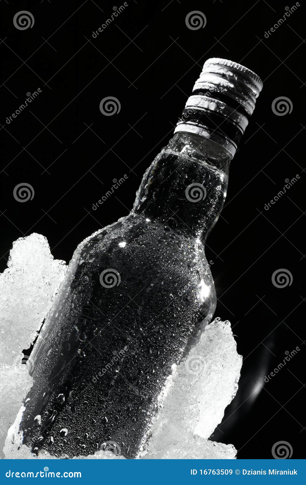 Bottle in ice stock image. Image of beverages, drink - 16763509