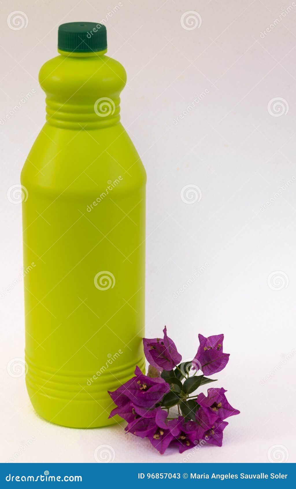 Bottle of lye. stock image. Image of soap, flowers, bleach - 96857043