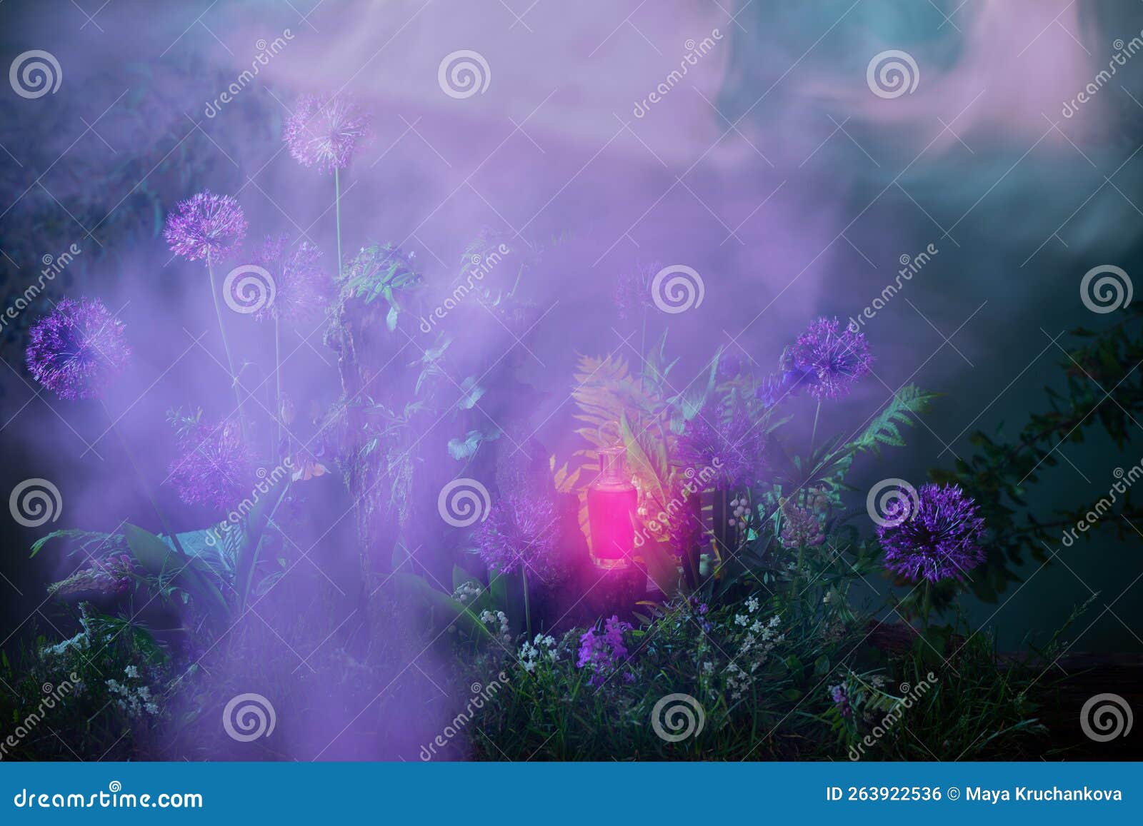 The Bottle of Magic Potions in Magical Forest Stock Photo - Image of ...