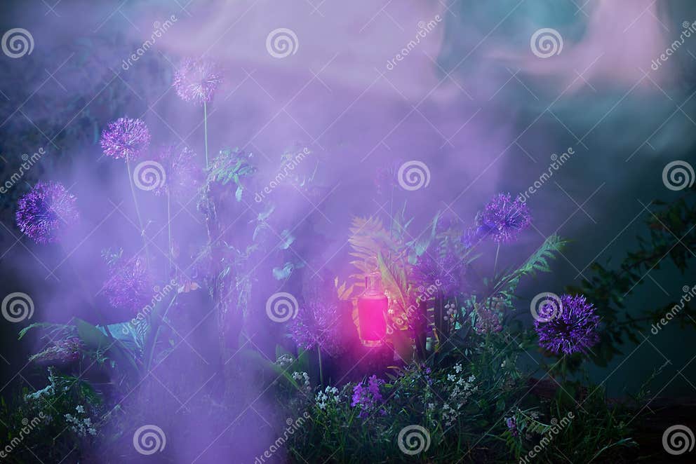 The Bottle of Magic Potions in Magical Forest Stock Photo - Image of ...