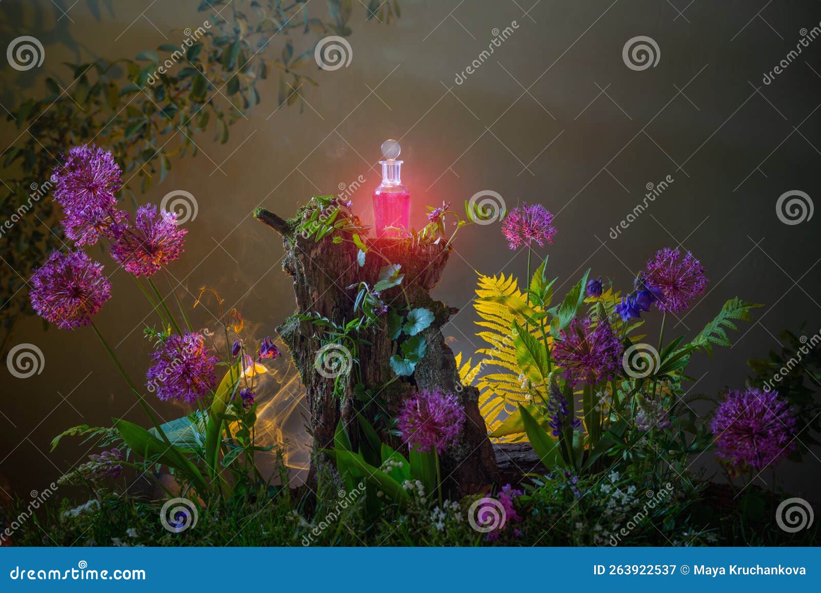The Bottle of Magic Potions in Magical Forest Stock Image - Image of ...