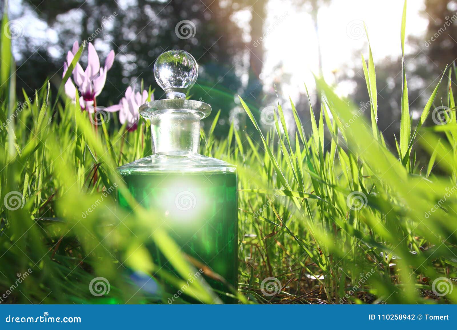 Bottle with Magical Green Potion in the Forest at Sunlight. Stock Photo ...