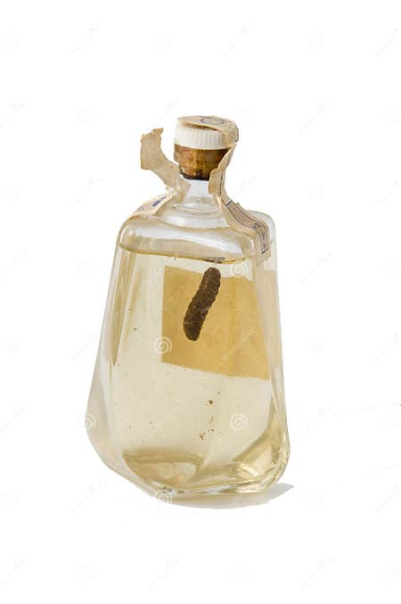 Bottle of mezcal with worm stock photo. Image of potent - 4029772