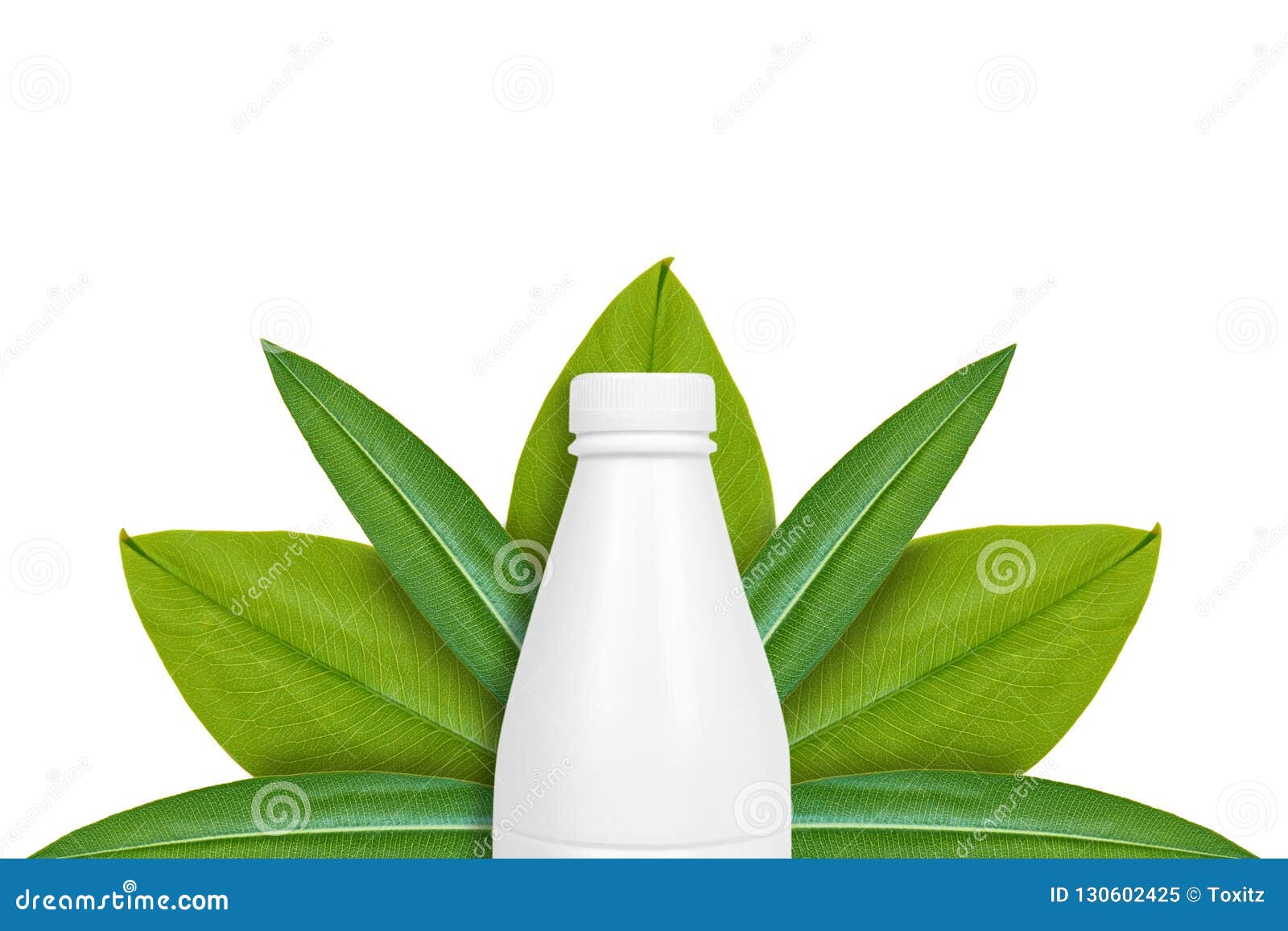 Bottle of Milk on the Background of Green Leaves. Isolated on White ...