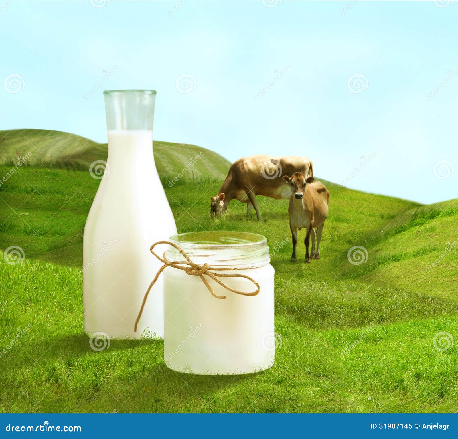 Bottle of Milk and Cows on Green Field Stock Image - Image of milk ...