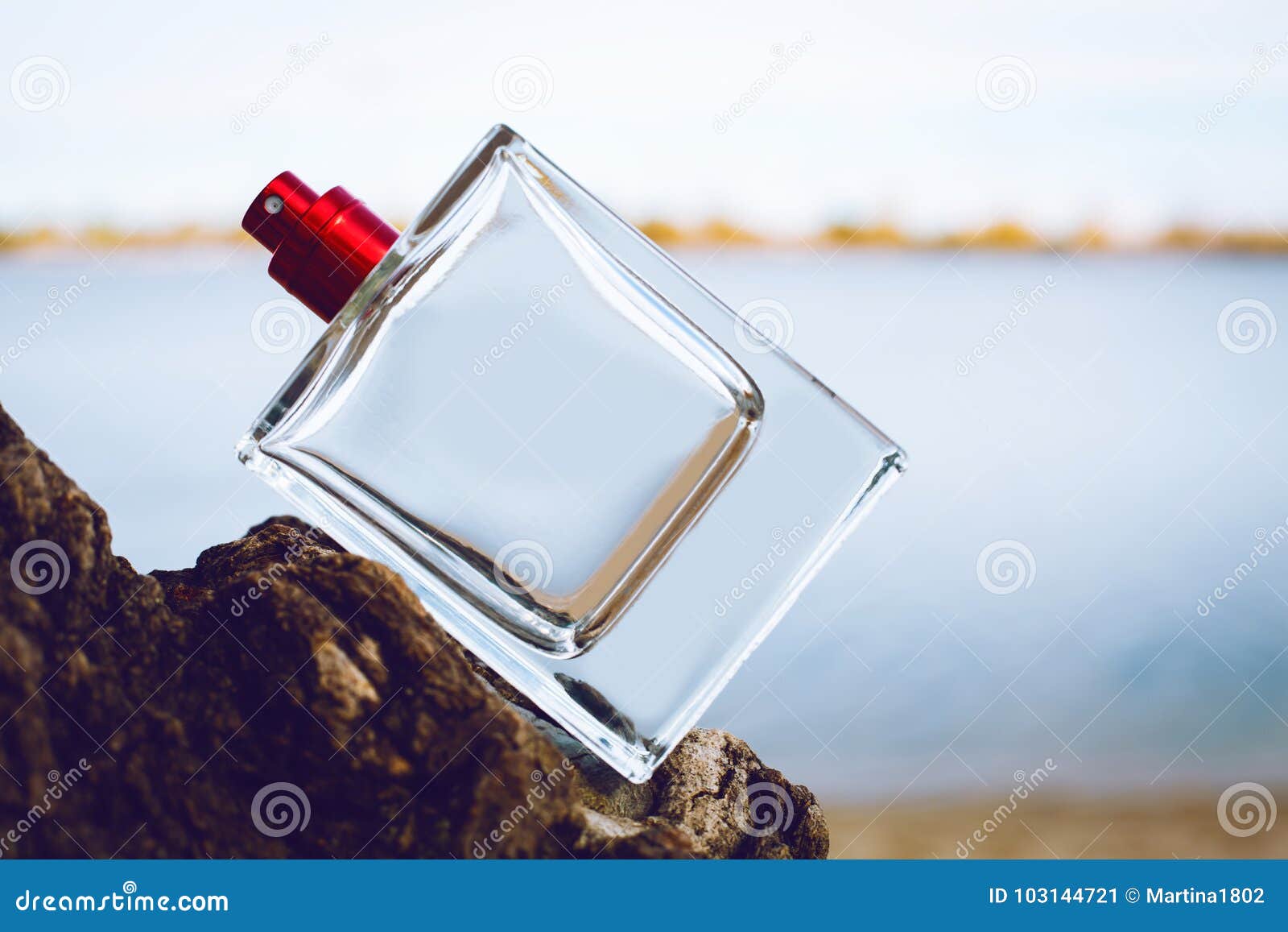 Bottle of modern perfume stock image. Image of closeup - 103144721