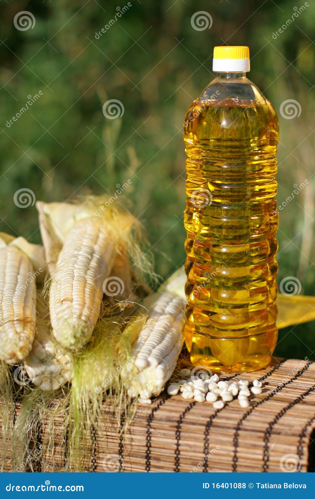 Bottle of oil and corn stock photo. Image of concept - 16401088