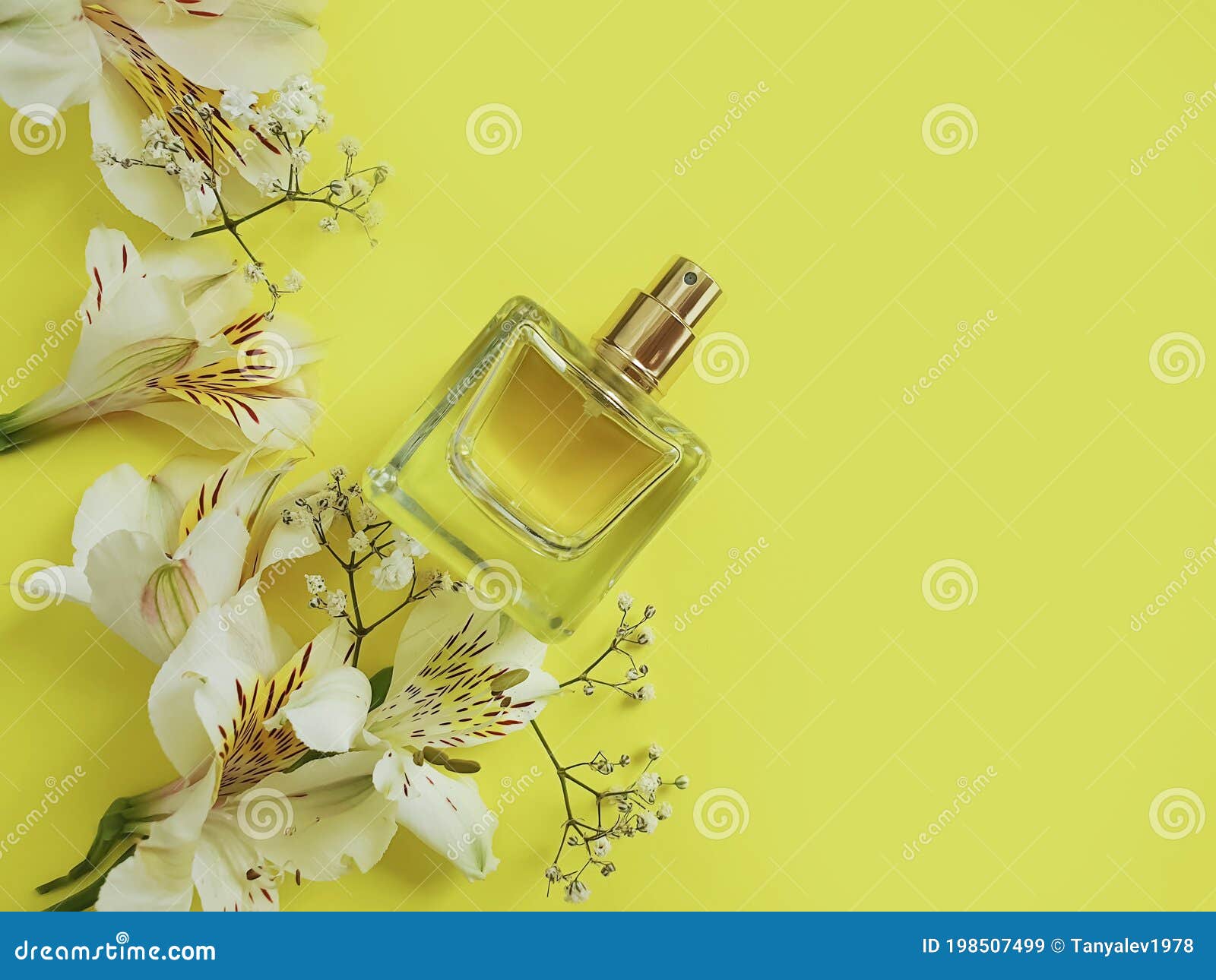 Bottle Perfume Flower a Colored Background Stock Image - Image of ...