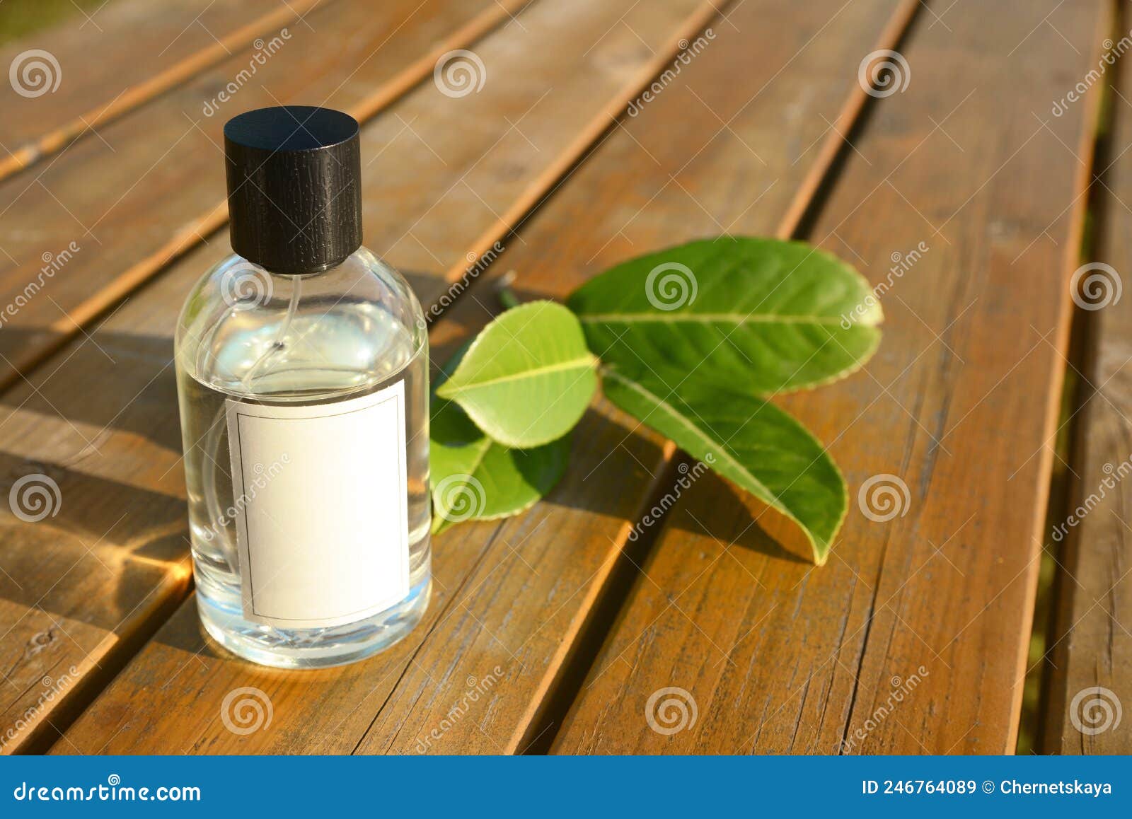 Bottle of Perfume and Green Leaves on Wooden Table, Space for Text ...