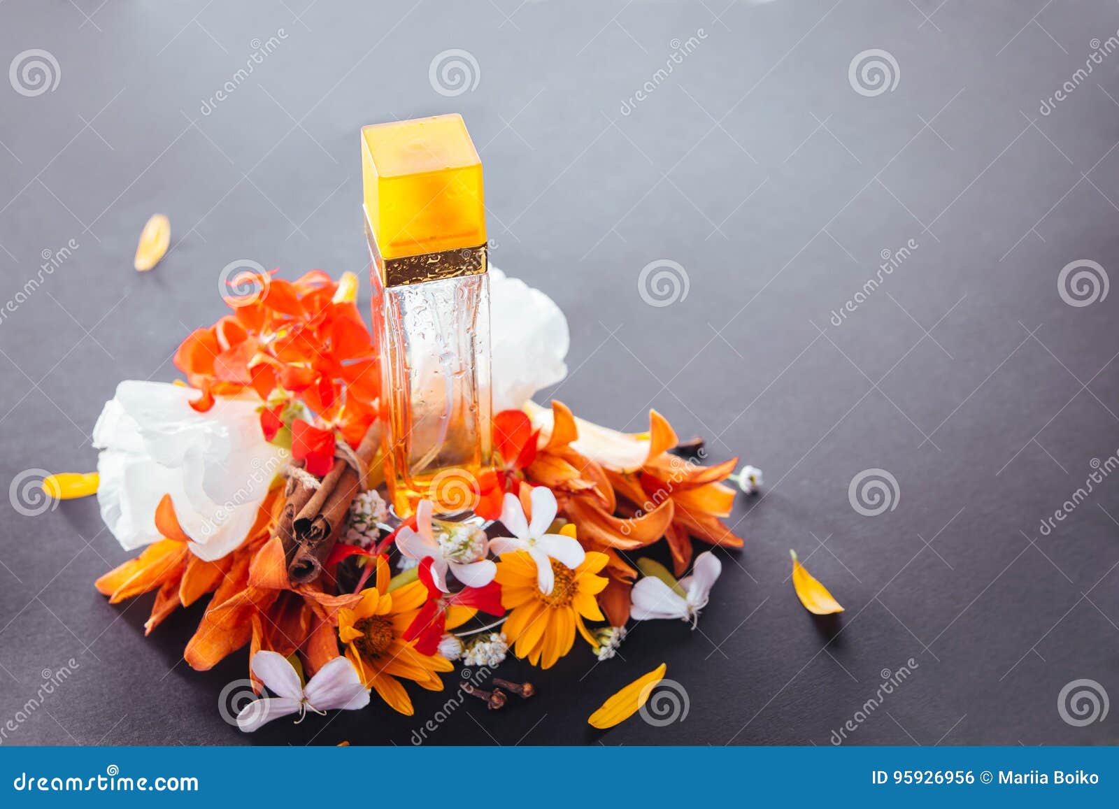 Bottle of Perfume with Ingredients Stock Photo - Image of flask, care ...