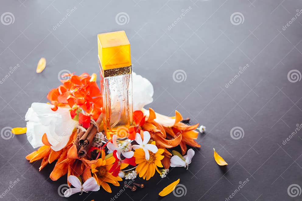 Bottle of Perfume with Ingredients Stock Photo - Image of flask, care ...