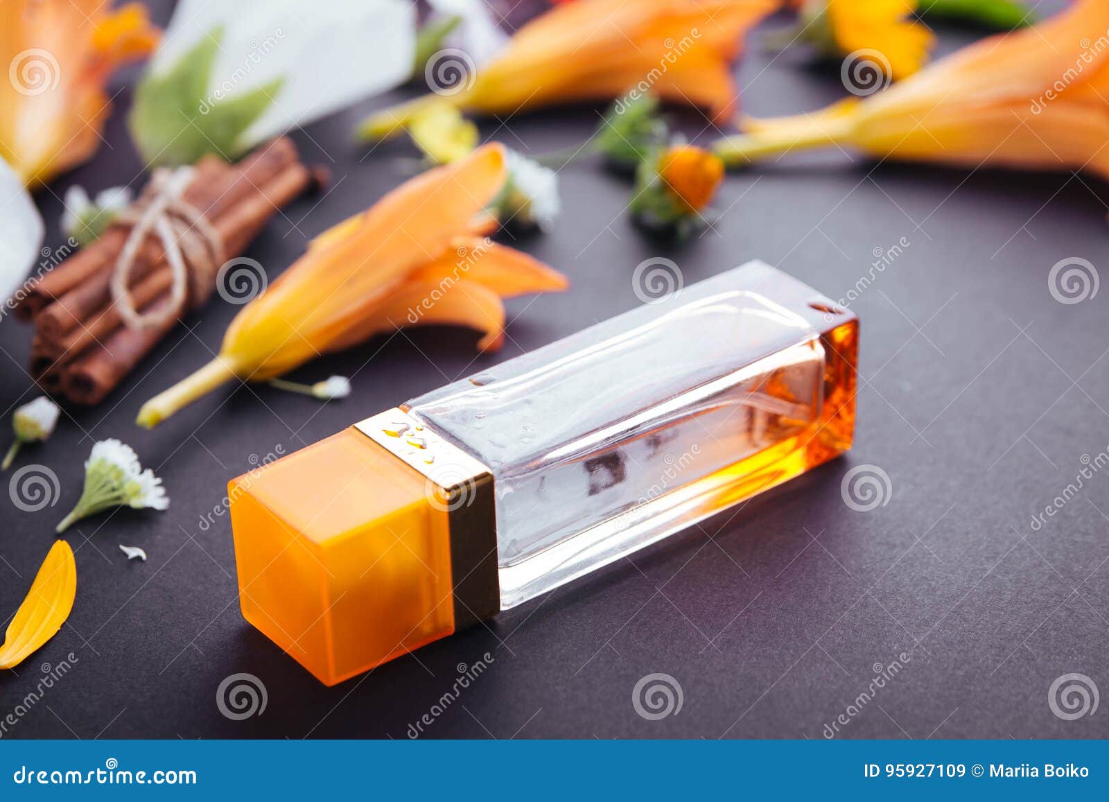 Bottle of Perfume with Ingredients Stock Image - Image of aroma ...