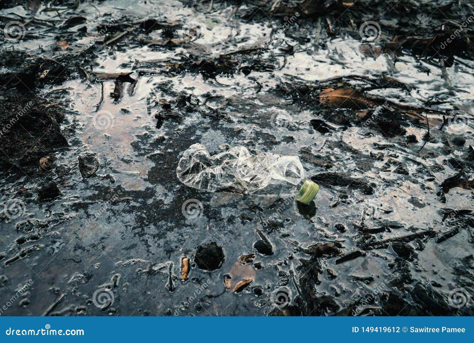 Bottle Plastic in the River. Stock Photo - Image of nature, black ...