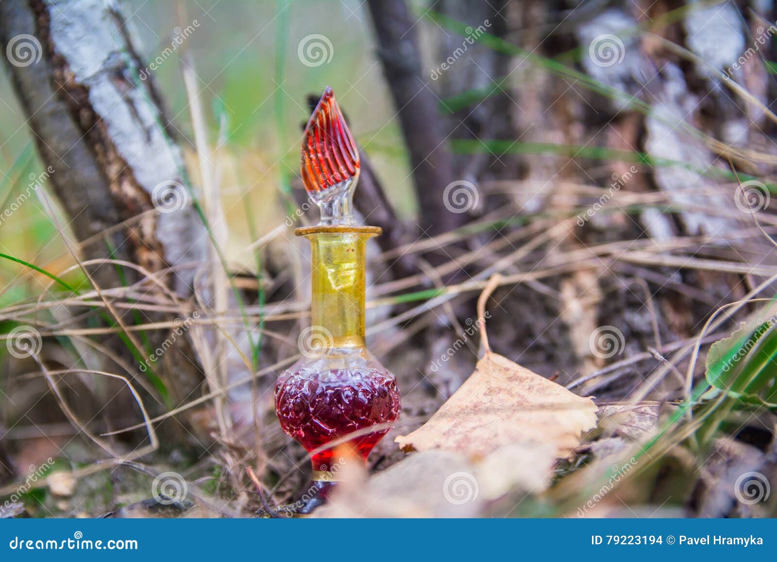 Bottle of Poison, Poisonous Capsule, Halloween Stock Photo - Image of ...