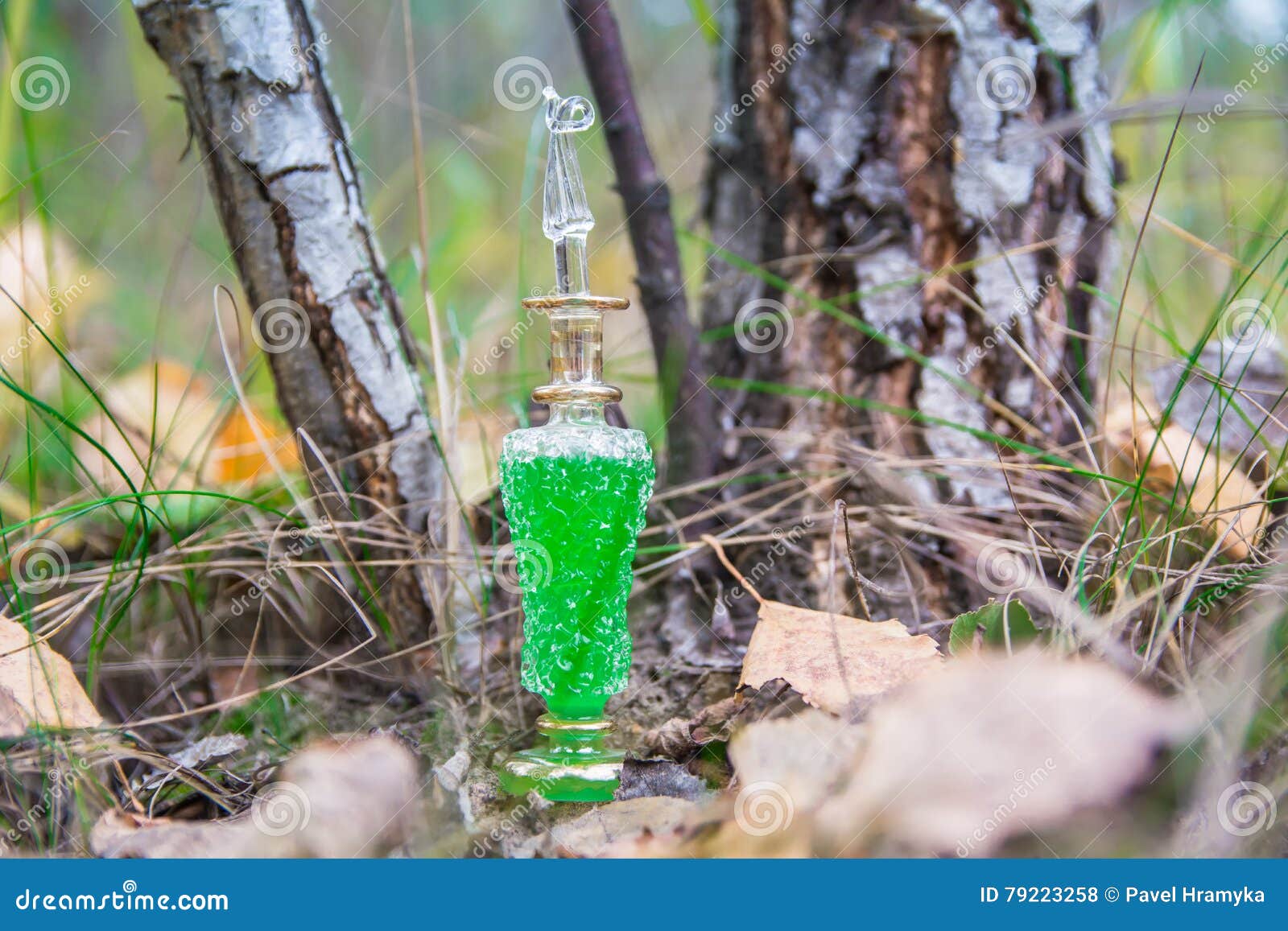 Bottle of Poison, Poisonous Capsule, Halloween Stock Photo - Image of ...
