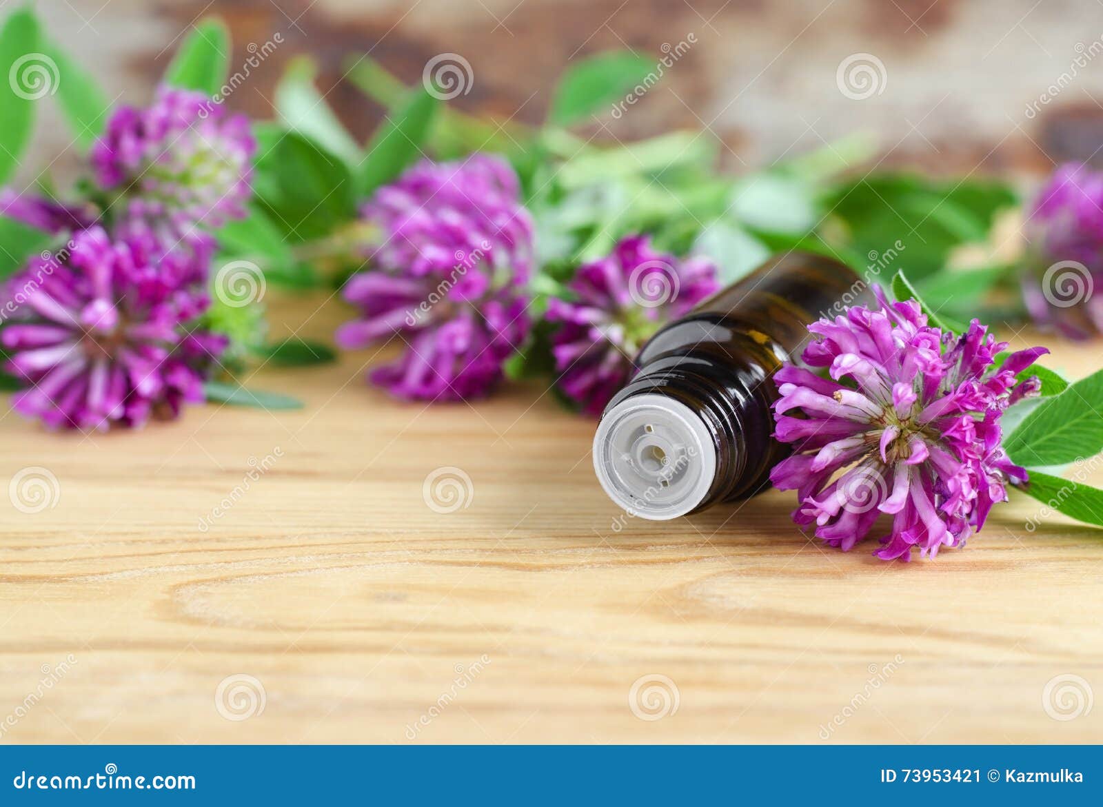 Bottle of Red Clover Extract (tincture, Infusion, Oil) Stock Image ...